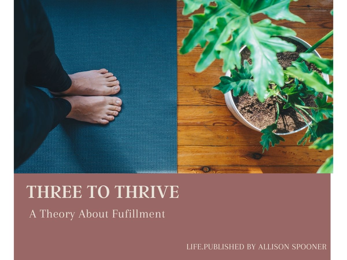 Three to Thrive: A Theory About Fulfillment - Allison Spooner Writer